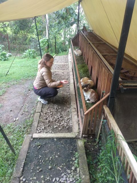 Day Trip Volcano White Crater Ciwidey Bandung - Tour Guide - Who Would Love This Tour?