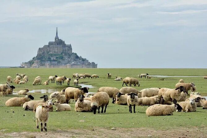 Day Trip with a local driver Mont Saint Michel from Saint Malo 6h - FAQ