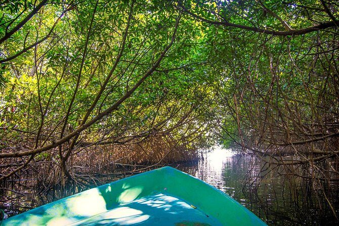 Day Visit to Dutch Galle Fort & Bentota Mangrove Safari From Colombo - Frequently Asked Questions