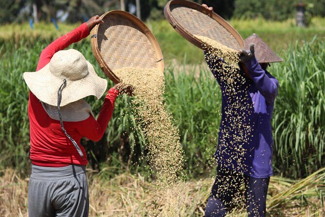 Day with a Balinese Family in a Village - FAQ