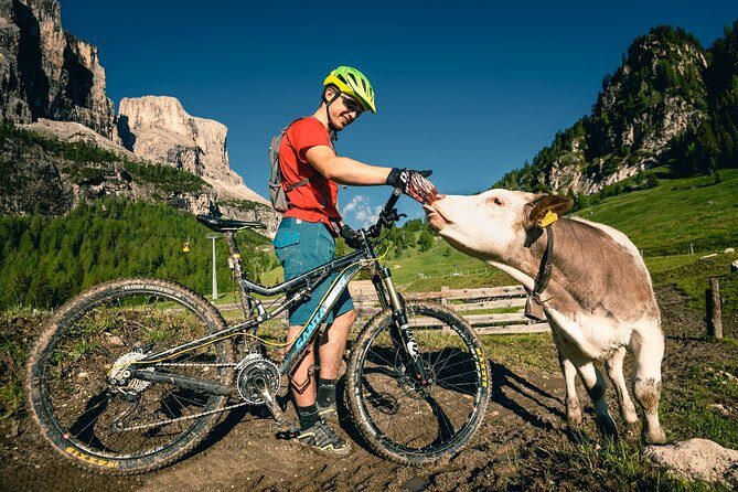 Day with Private Bicycle Guide in Cortina d'Ampezzo - A Closer Look at the Experience