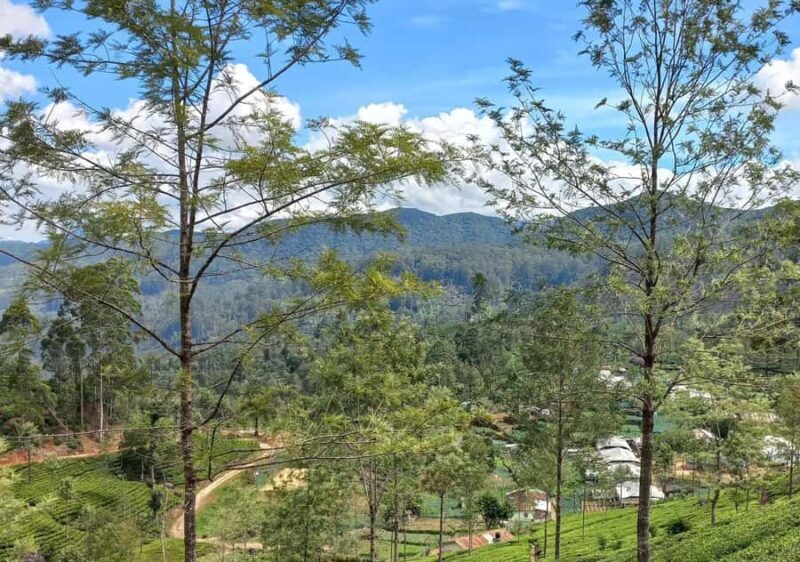 Dayagama: Pekoe Trail Stage 9 & 10 Guided Hike - Key Points