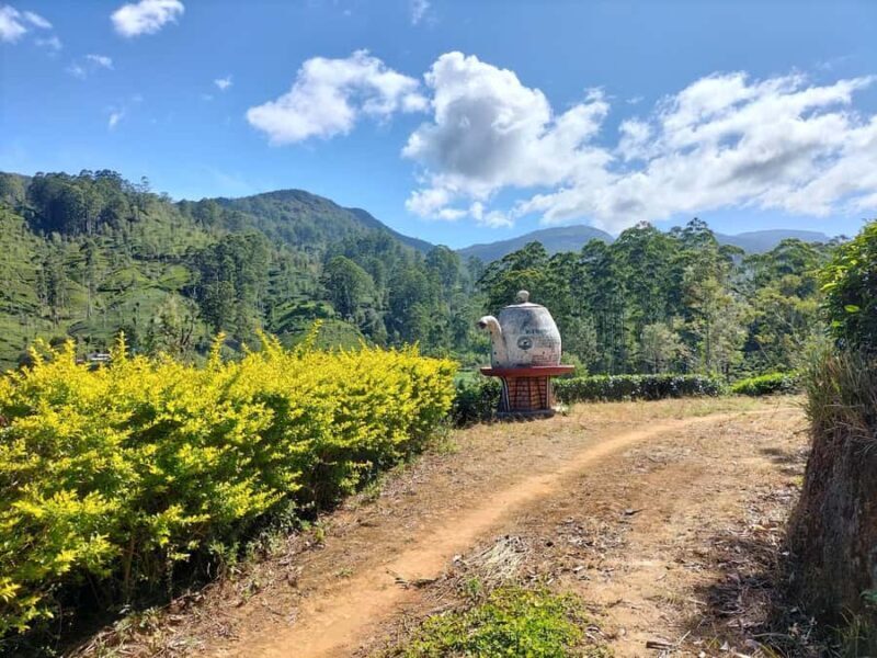 Dayagama: Pekoe Trail Stage 9 & 10 Guided Hike - Practical Details and What to Bring