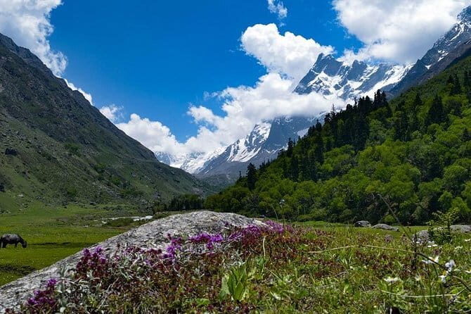 Dayara Bugyal Himalayan Trekking and Camping - Final Summary