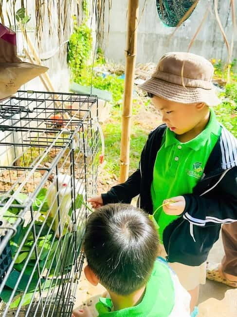 Daycare by Bex in Da Nang| Half Day - Thé School - Why the Daycare by Bex Experience Stands Out
