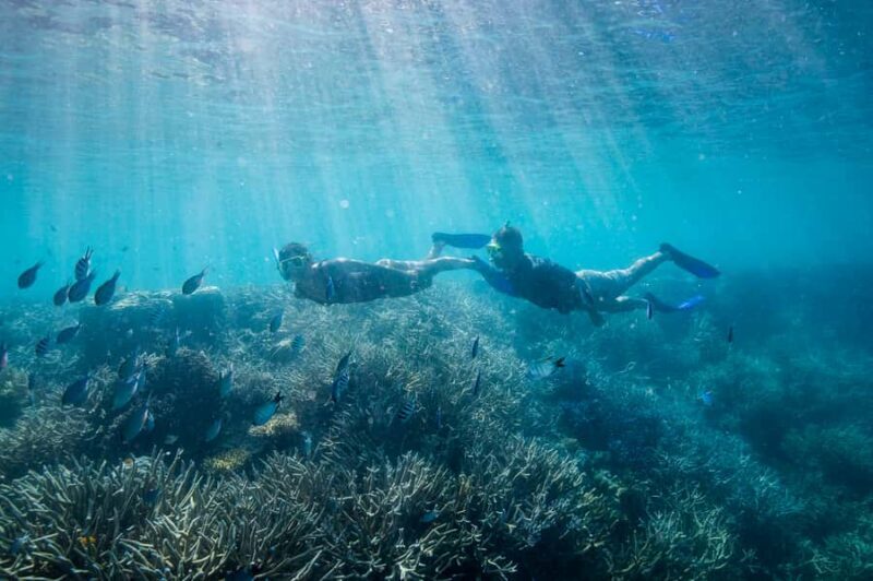 Daydream Island: Great Barrier Reef Adventure Cruise - FAQ: Your Questions Answered