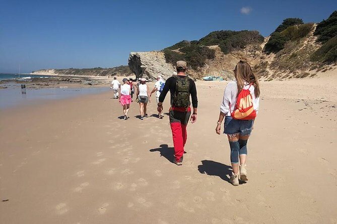 Dayhikes with pick-up from Marbella and Estepona - Who Should Book This Tour?
