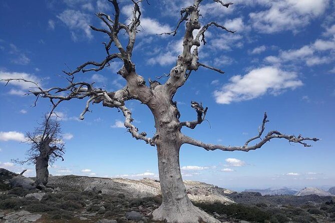 Dayhikes with pick-up from Marbella and Estepona - FAQ