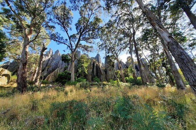 Daylesford Goldfields Track Walking and Wellness Experience - An Overview of the Tour Experience