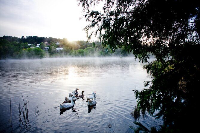 Daylesford Goldfields Track Walking and Wellness Experience - Authentic Experiences and What They Mean for You