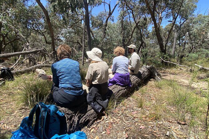Daylesford Goldfields Track Walking and Wellness Experience - What Past Travelers Say