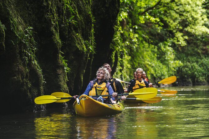 Daytime Canyon Kayak Tour - An Inside Look at the Rotorua Canyon Kayak Tour