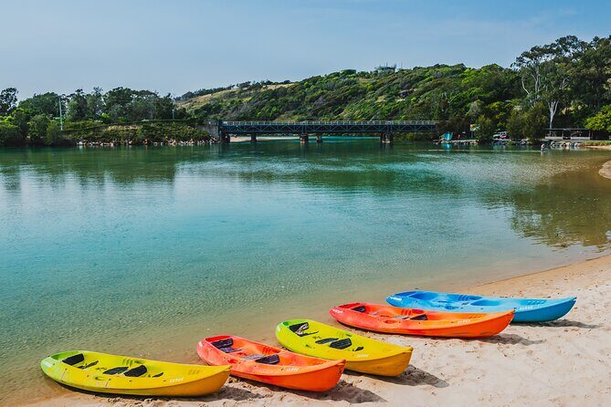 Daytime Kayak Eco Tour of New South Wales - The Sum Up