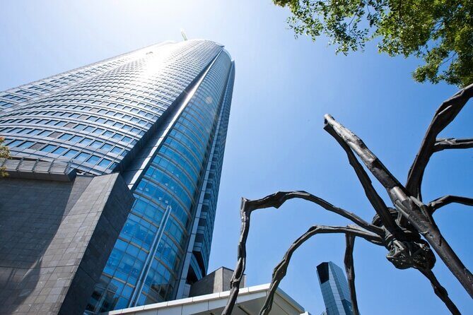 Daytime Roppongi Walk, Art, Food and Views with a Local - Practical Considerations