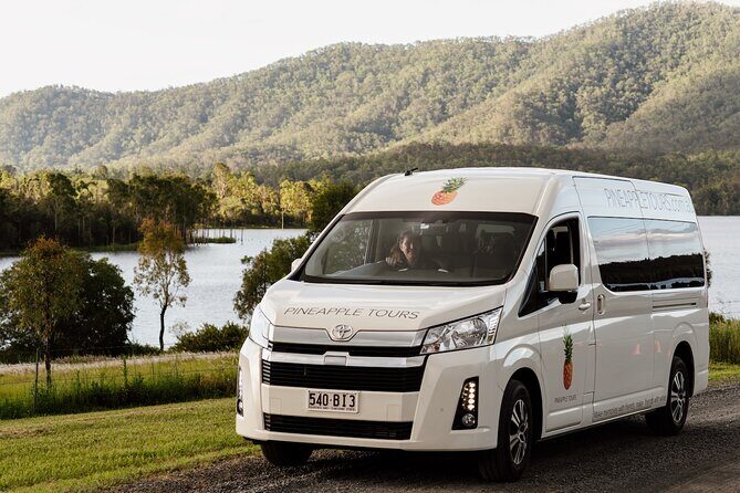 Daytime Scenic Rim Glow Worm Tour + Hop on Hop off Bus - Who Will Appreciate This Tour?