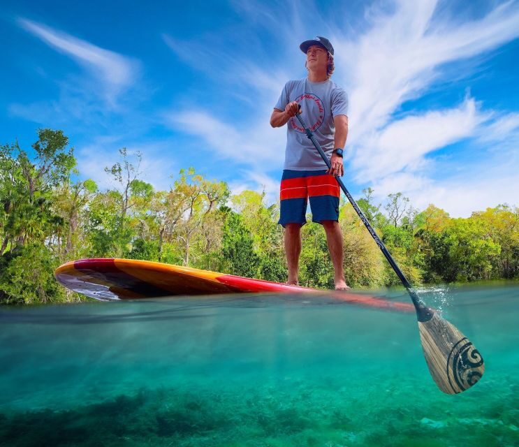Daytona Beach: Guided Kayaking or Standup Paddling Tour - The Itinerary and What to Expect