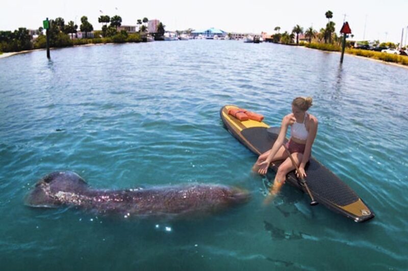 Daytona Beach: Guided Kayaking or Standup Paddling Tour - The Sum Up