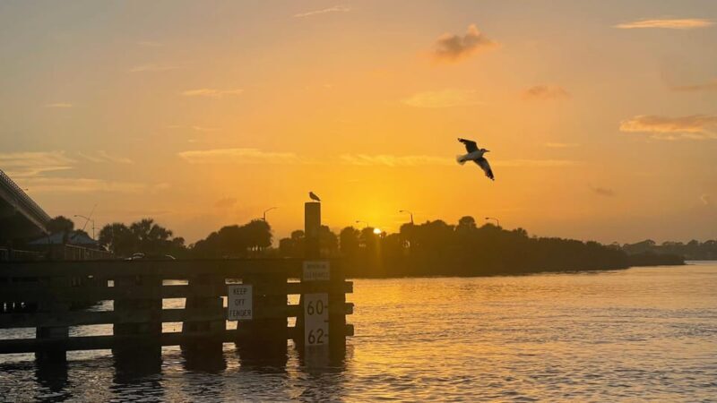 Daytona Beach: Small Group Champagne Sunset Cruise - FAQ