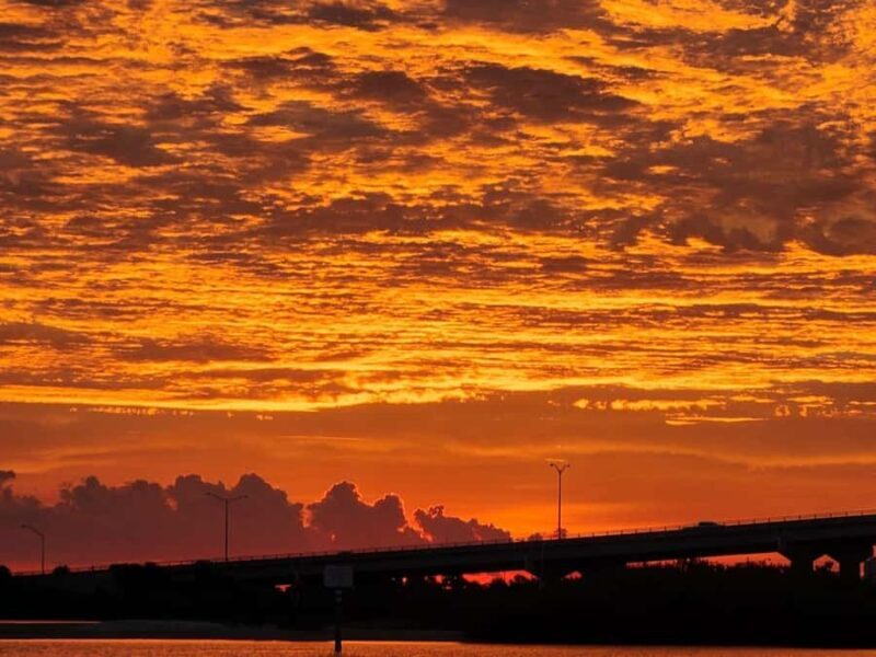 Daytona Beach: Sunset River Cruise with Dolphin Watching - The Experience: What Travelers Say