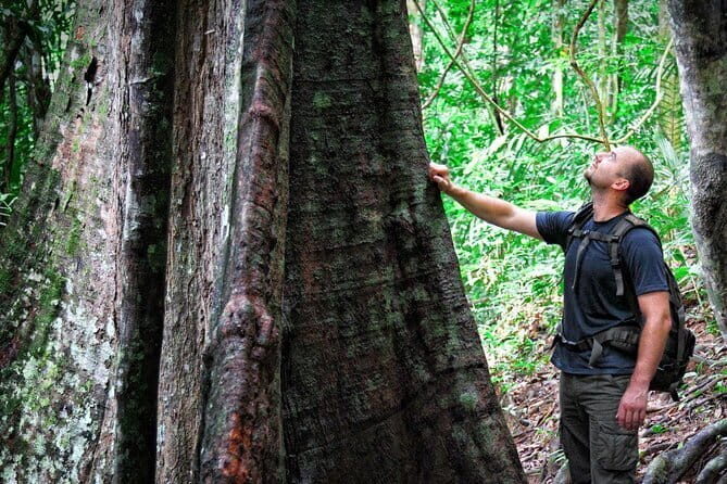Daytrip to Taman Negara National Park With Teras Waterfall - Daytrip to Taman Negara National Park With Teras Waterfall: An In-Depth Review
