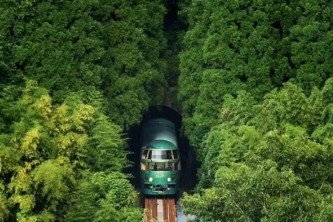 Dazaifu Nyoirinji Temple Yufuin one day tour from Fukuoka - Key Points