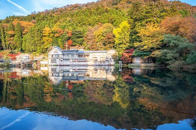 Dazaifu Nyoirinji Temple Yufuin one day tour from Fukuoka - An In-Depth Look at the Tour Experience