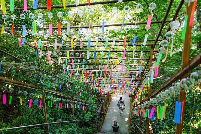 Dazaifu, Nyoirinji Temple, Yufuin, Yufuin no Mori Day Tour - Key Points