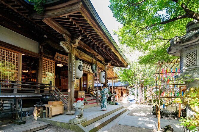 Dazaifu, Nyoirinji Temple, Yufuin, Yufuin no Mori Day Tour - Who is this tour best suited for?