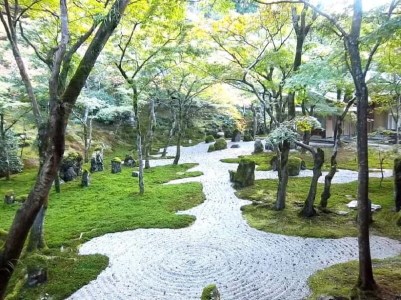 Dazaifu: Shrine, Museum, and Zen Garden Tour with Tea - Who Should Consider This Tour?