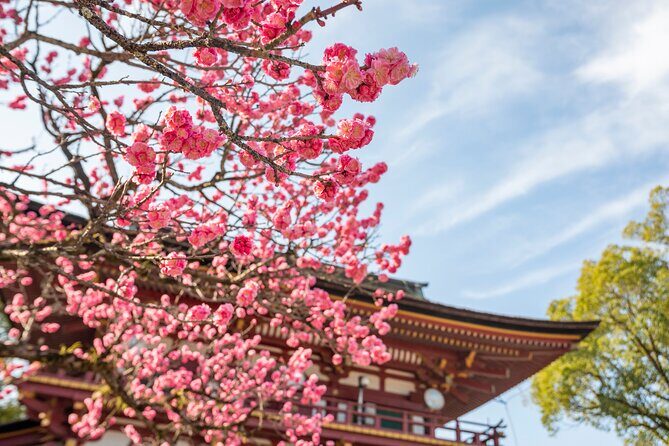 Dazaifu, Yanagawa River Cruise & Strawberry Picking from Fukuoka - An In-Depth Look at the Tour