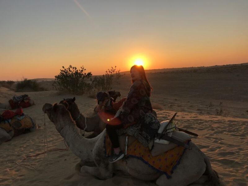 Dazzling Half Day Camel & Desert Safari With Sunset & Dinner - Key Points