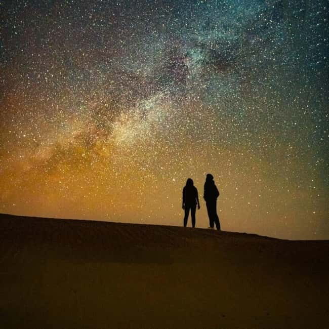 Dazzling Half Day Camel & Desert Safari With Sunset & Dinner - An In-Depth Exploration of the Tour