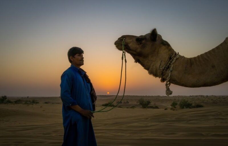 Dazzling Half Day Camel & Desert Safari With Sunset & Dinner - The Sum Up