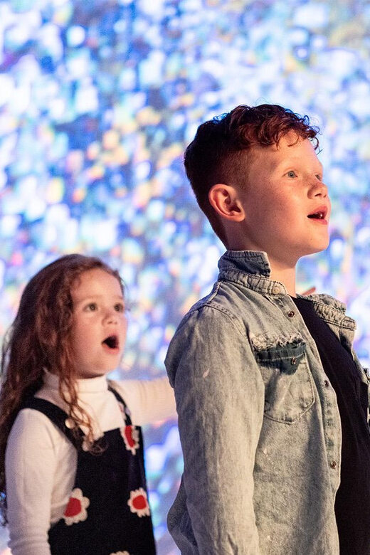 DC: All Creation Sings- Museum of the Bible Exhibition Entry - Is the Price Worth It?