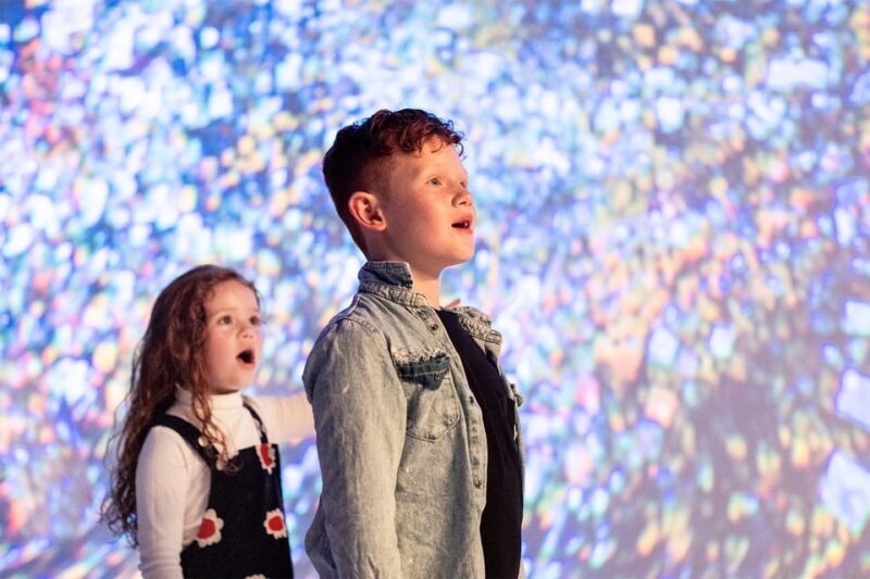 DC: All Creation Sings- Museum of the Bible Exhibition Entry - Practical Tips for Visitors