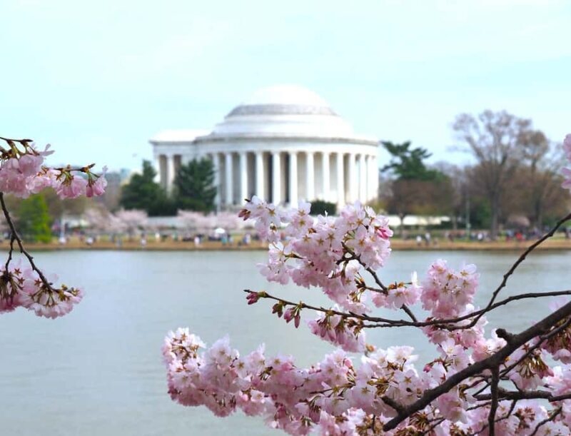 DC Cherry Blossom Guided Tour with Tidal Basin & Monuments - An Introduction to the Tour