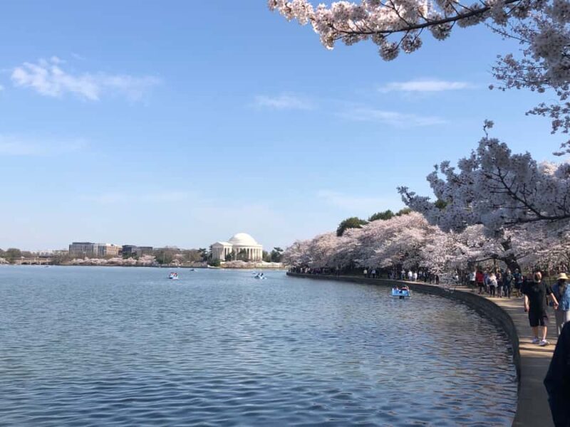 DC: Cherry Blossoms & Tidal Basin Memorials Walking Tour - Who Will Enjoy This Experience?