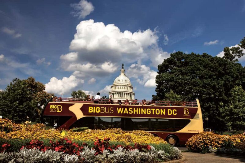 DC: Hop-on Hop-off, Arlington Walking Tour, and Night Tour - Key Points