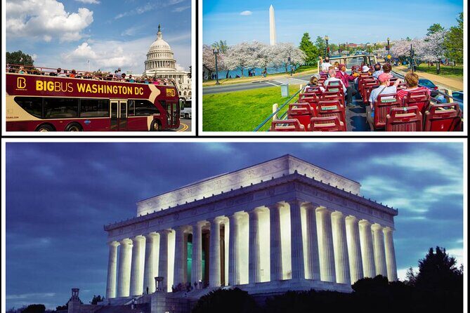 DC: Hop-on Hop-off Bus, Arlington Walking Tour, and Night Tour - An Honest Look at the Full Experience
