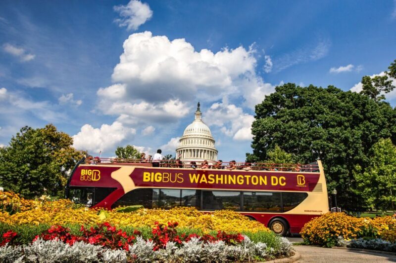 DC: Hop-On Hop-Off with 17 Stops plus Arlington Walking Tour - Final Verdict
