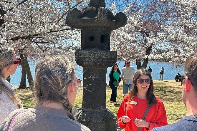 DC in Spring: Cherry Blossom & Tidal Basin Memorials Walking Tour - What the Reviews Say