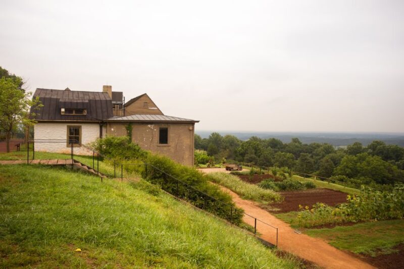 DC: Private Day Trip to Thomas Jeffersons Monticello Estate - A Deep Dive into the Experience