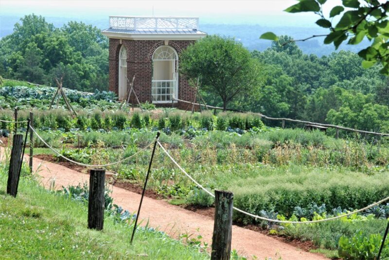 DC: Private Day Trip to Thomas Jeffersons Monticello Estate - Who Will Enjoy This Tour?