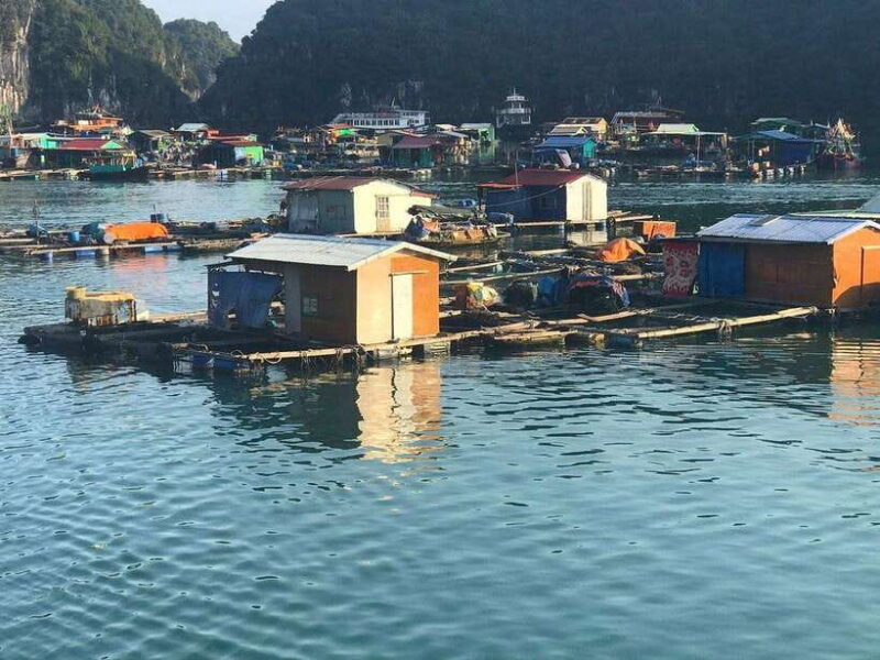 D'Charme Luxury Cruise Discover the MOST Stunning Lan Ha Bay - FAQs