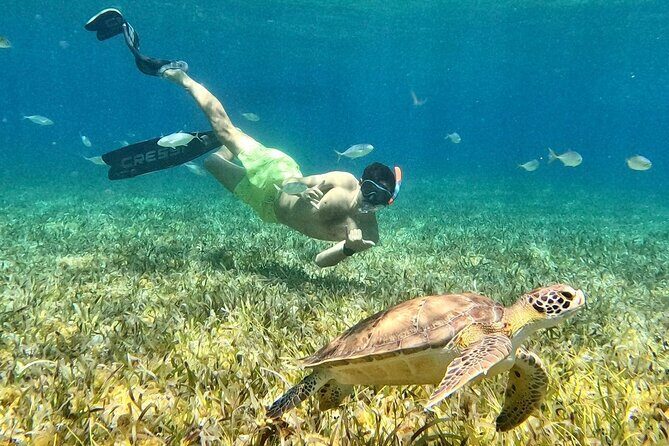 De Antonio D28 - Private Boat Tour (SEVEN MARES) - What You Can Expect from the De Antonio D28 Private Tour