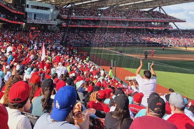 DE DE Baseball match day experience in DE Mexico City - Why This Tour Offers Great Value
