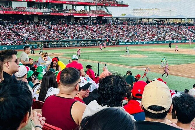 DE DE Baseball match day experience in DE Mexico City - The Experience of a Lifetime for Sports Aficionados