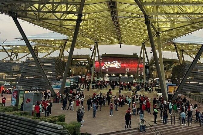 DE DE Baseball match day experience in DE Mexico City - Who Should Consider This Tour?