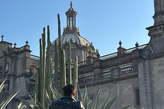 DE Mexico CD Walking Tour with Local Guide and Bilingual - An In-Depth Look at the Mexico City Walking Tour