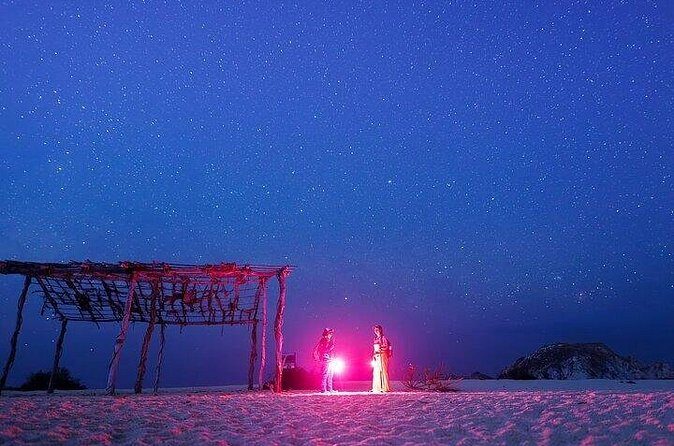 DE rismo and Night Monitoring of Sea Turtles - FAQ